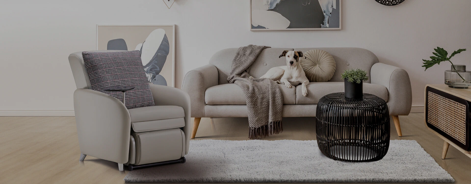 Display Product | OSIM HK