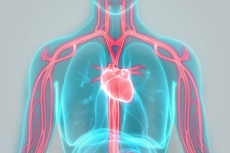 5 Reasons Why You Need A Post-Exercise Massage