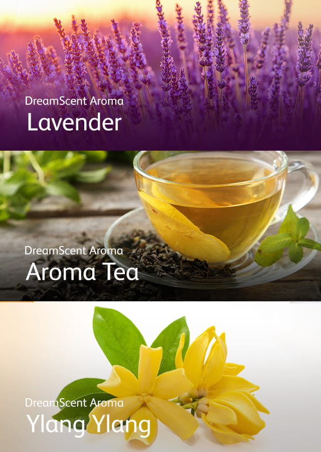 uDream Scent Cartridge, uDream Aroma Pod | OSIM Singapore