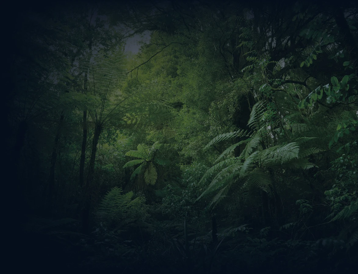 uDream Pro Well-Being Massage Chair, Massage Chair | OSIM Singapore